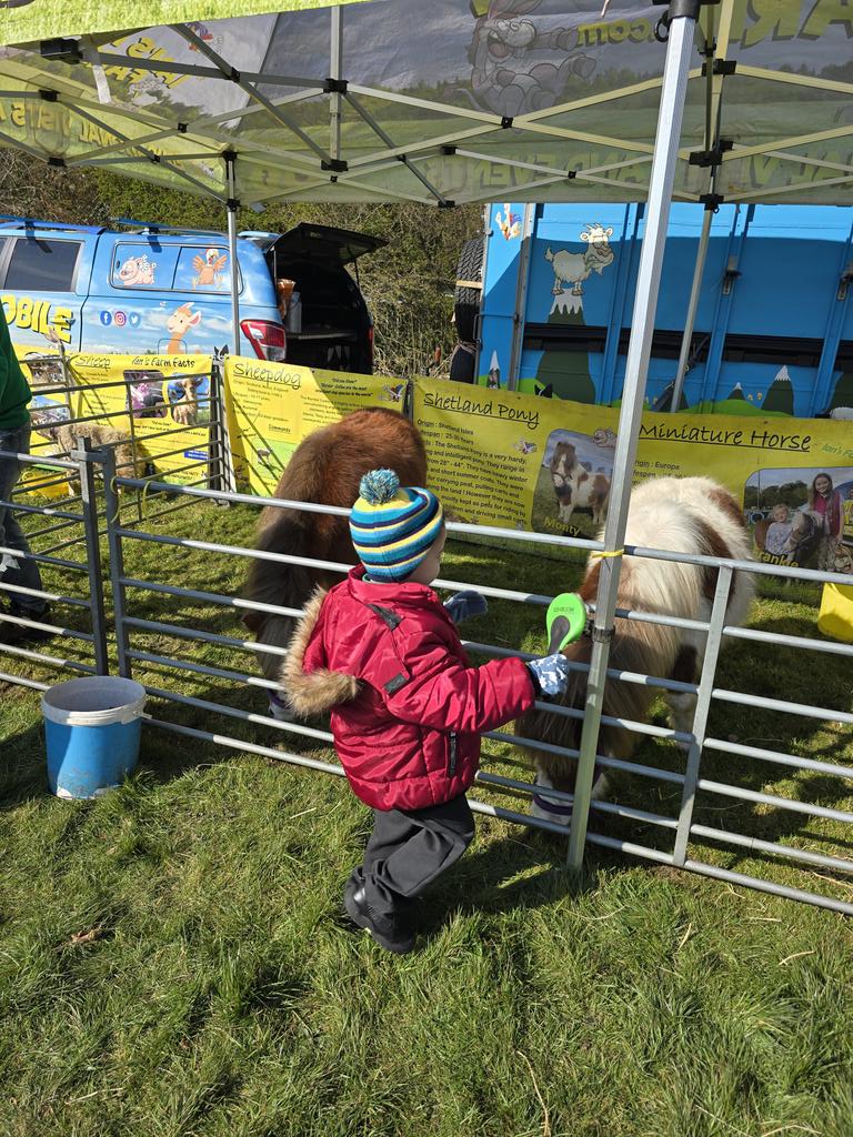 Three Lane Ends Academy - Latest News