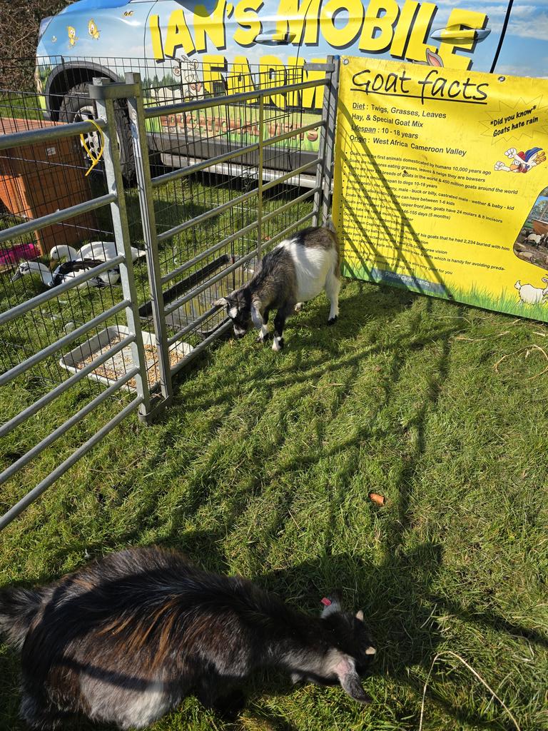 Three Lane Ends Academy