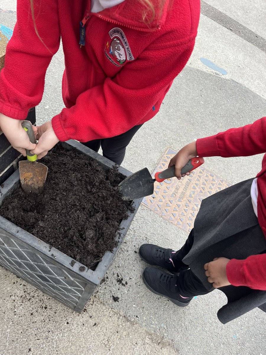 Home - Cobden Primary School