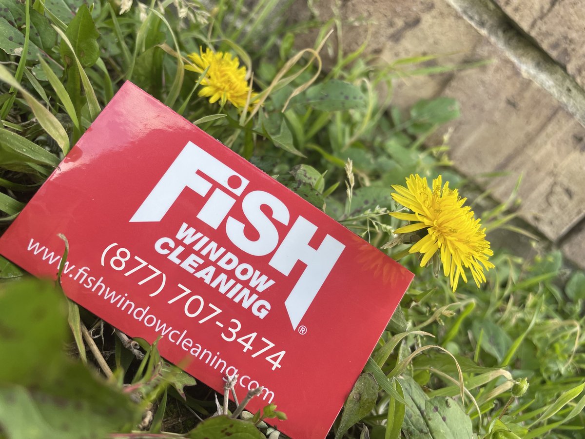 Fish Window Cleaning Logo