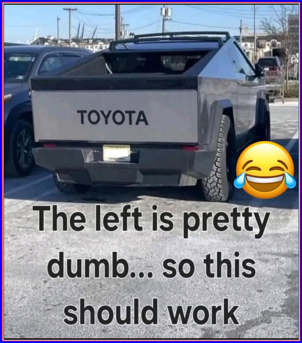 "DOGEQuest" website doxxing/threatening Tesla owners (poll, stats ...