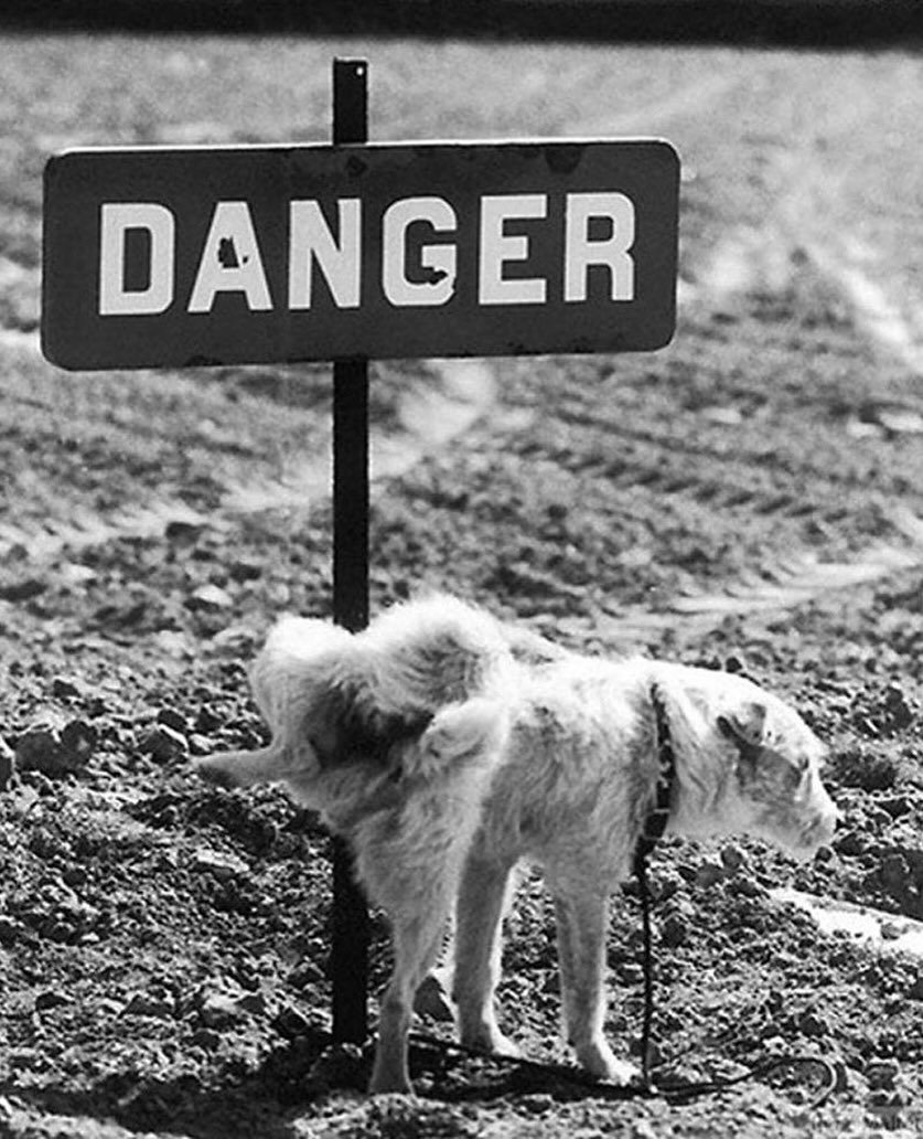 Vitalholis's Threads – Thread Reader App