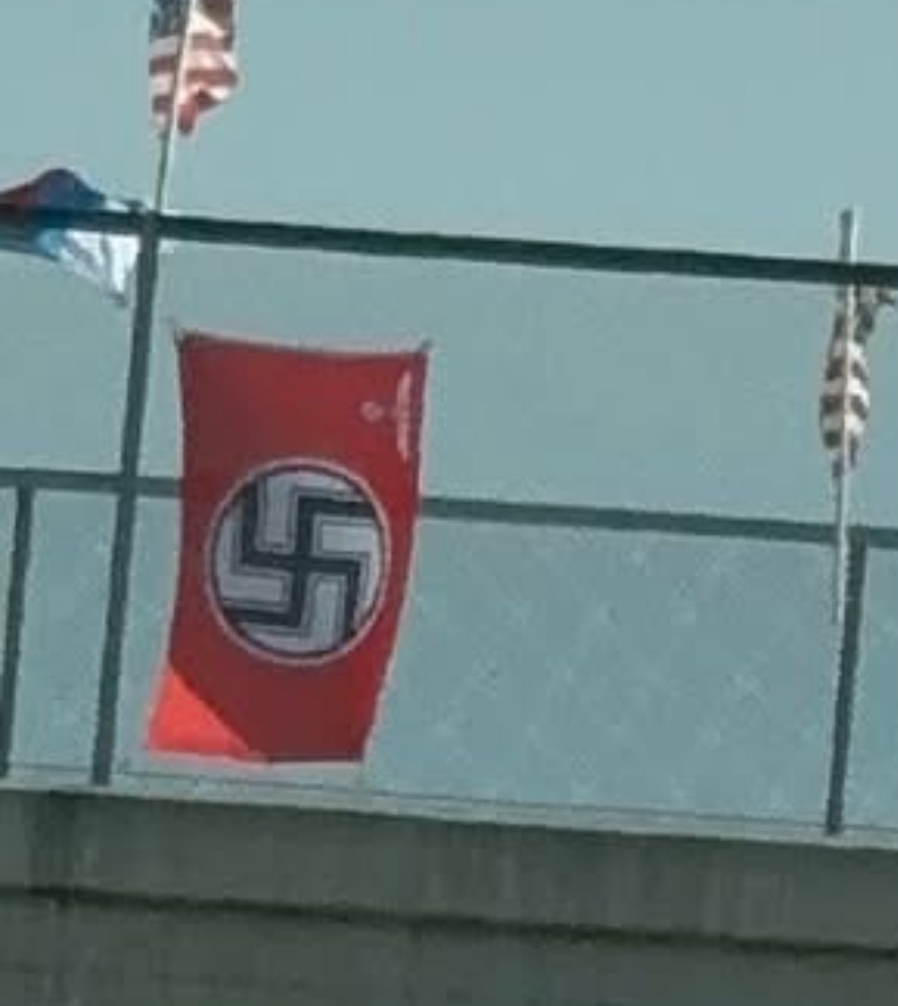 Hitler Flag Logo