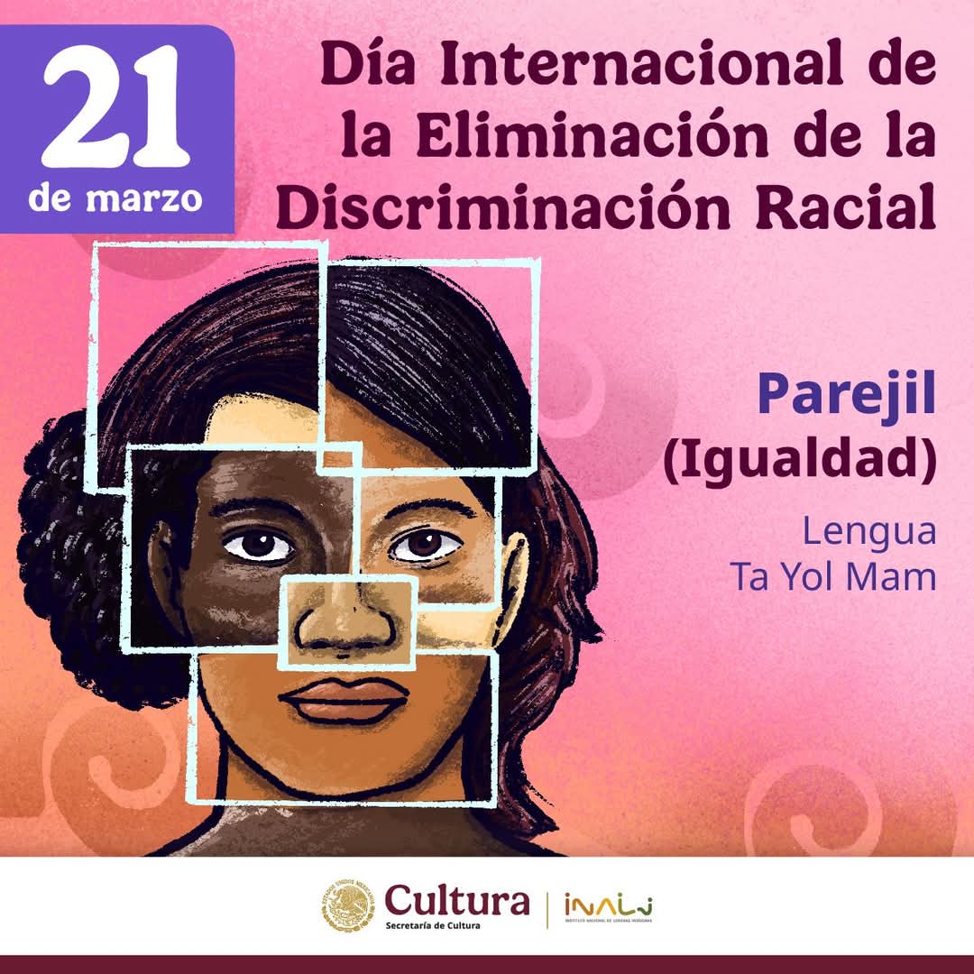 Carteles De Igualdad Racial Comisión Interamericana De Derechos