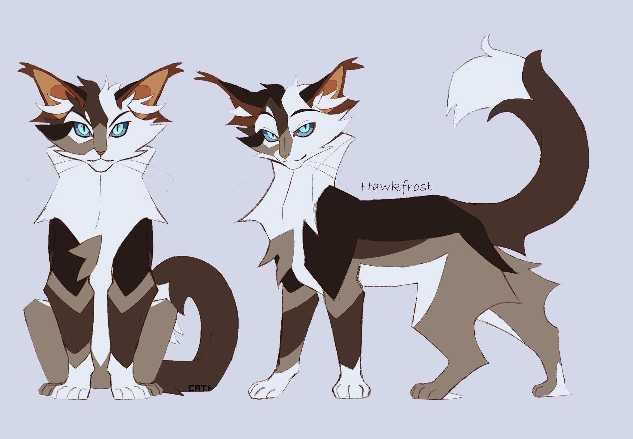 Hawkfrost Warrior Cats Hawkfrost Warriors Warriorcats Cat Merch