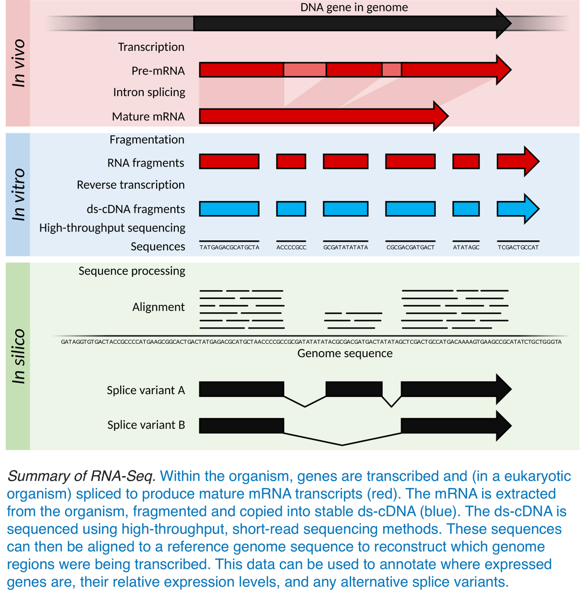 Thread by @ed_hagen on Thread Reader App – Thread Reader App