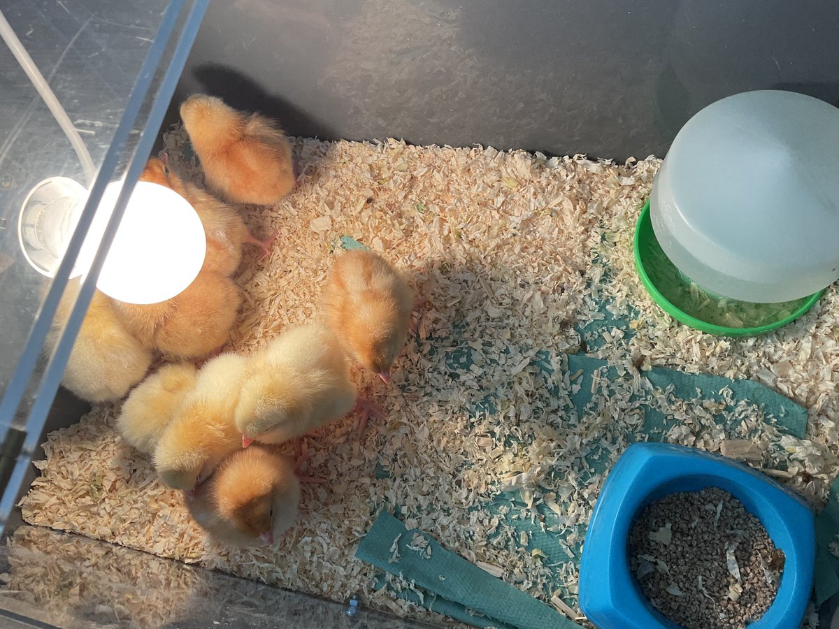 Welcome to Reach Academy - Reach Academy