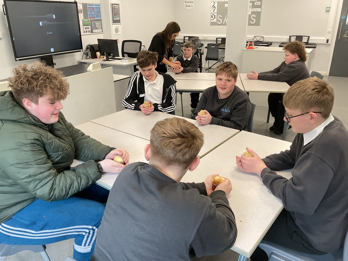 Welcome to Reach Academy - Reach Academy