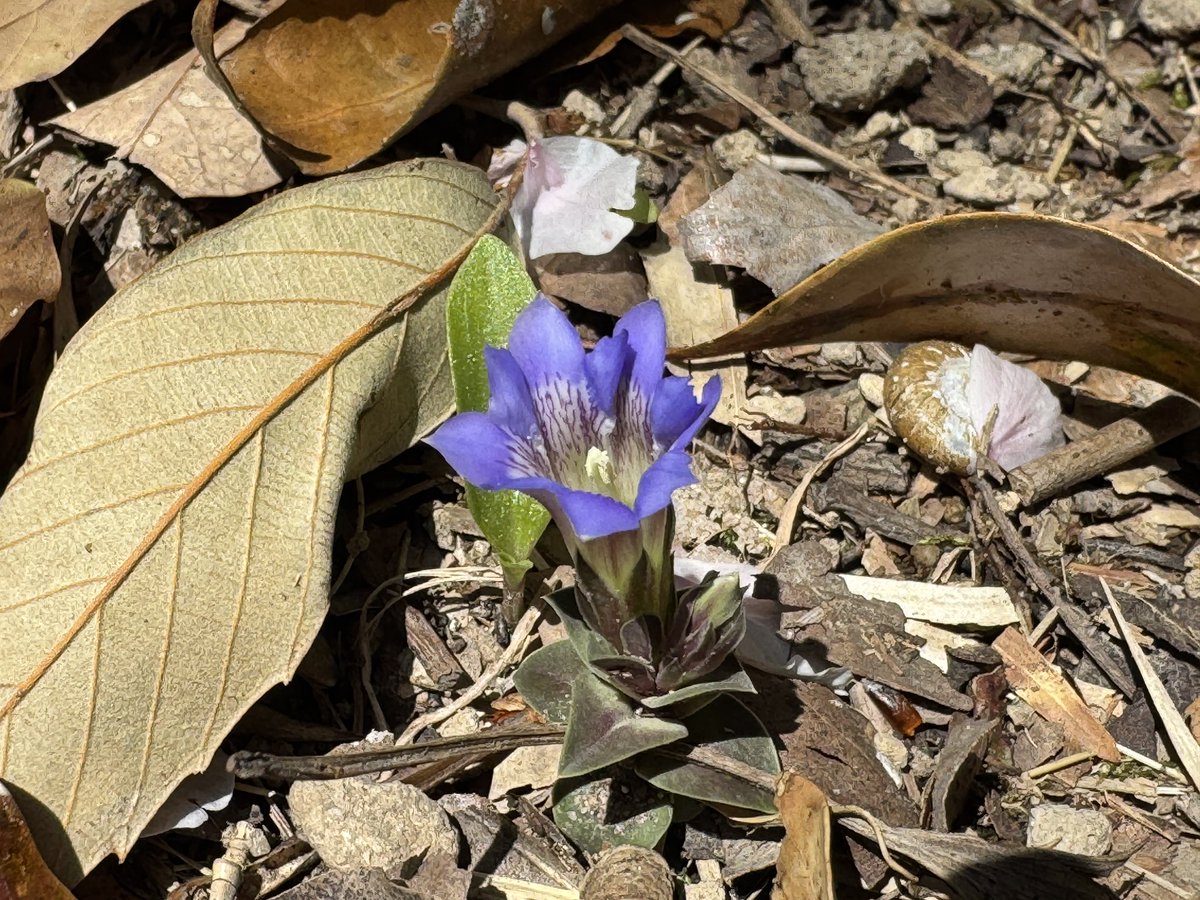 Ryusuke IMURA(@tigers_1964) - Twilog (ツイログ)