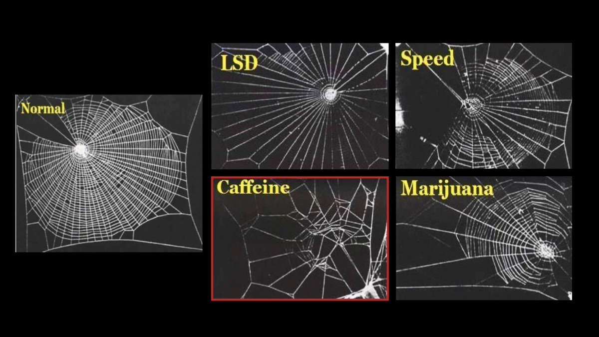 Thread by @IronSage_ on Thread Reader App – Thread Reader App