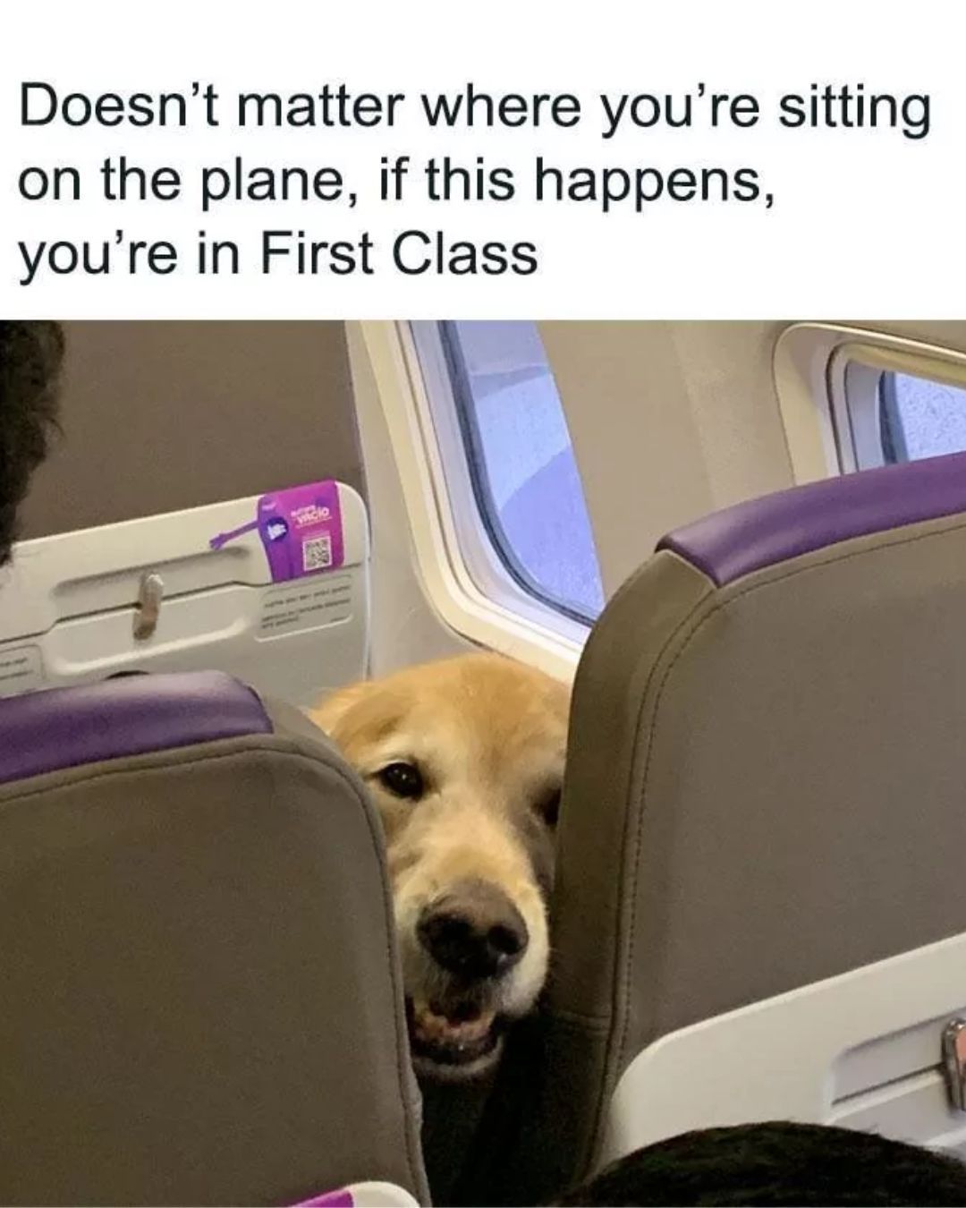 First Class Flight Memes First Class Airplane Memes And Trends
