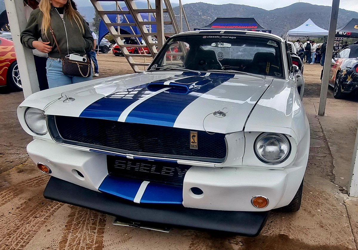 Federación Latinoamericana de Clubes Mustang @MustangLatam X Profile ...