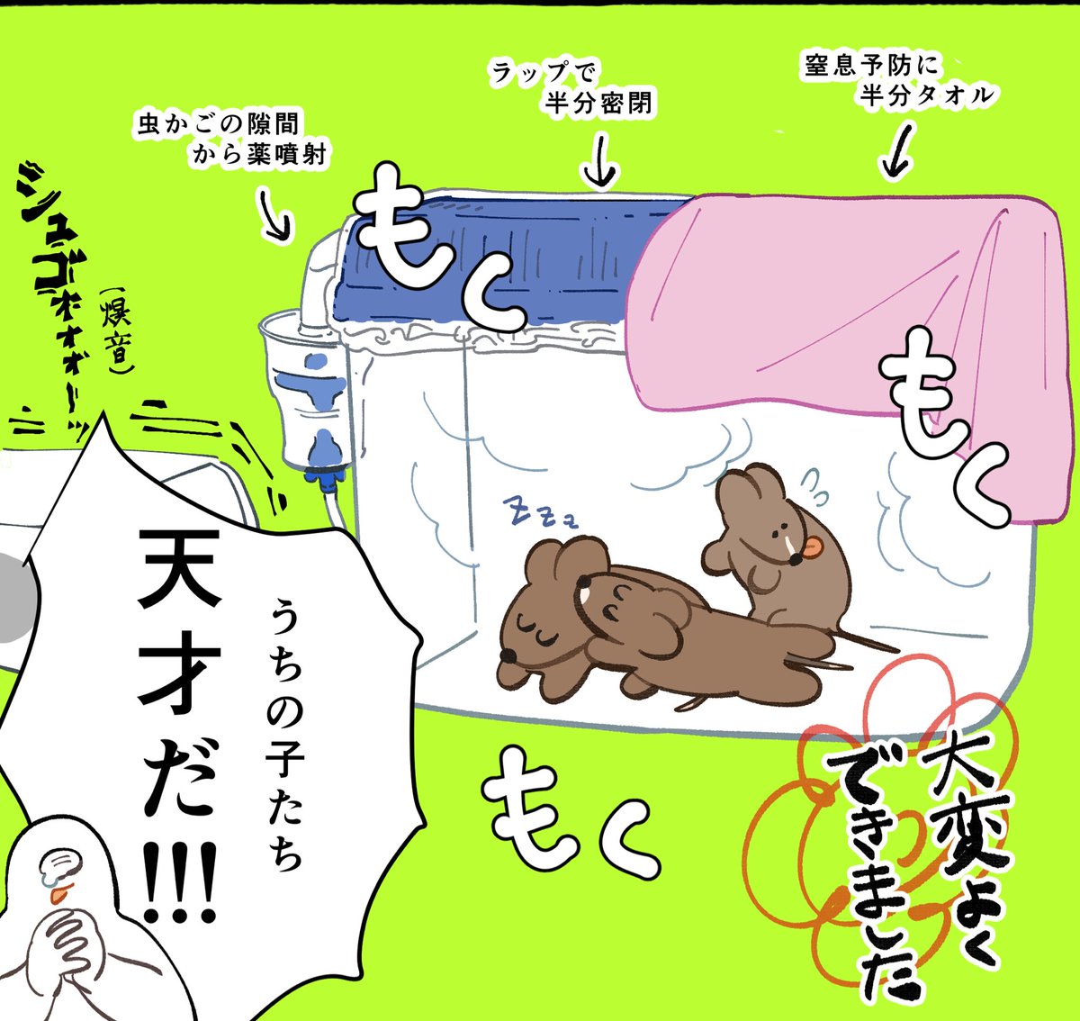 「気温上がって活発〜 さてこの写真の中にもちくんも写っています、どこでしょうか (回し車はあん、ハンモック上はころ) 」あけびの漫画