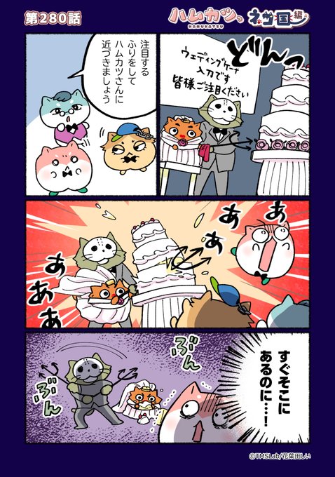 ╭━━━━━━╮ ネコ国編 ╰━ v ━━━━╯ 「ケーキ入刀 .. | TMSLab(トムスラボ) さんのマンガ | ツイコミ(仮)