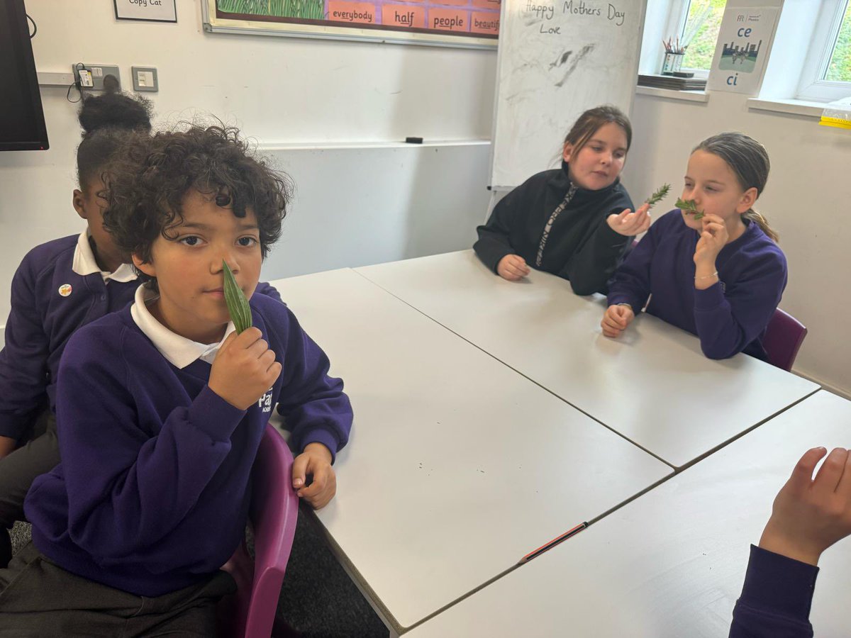 Welcome to Park Academy