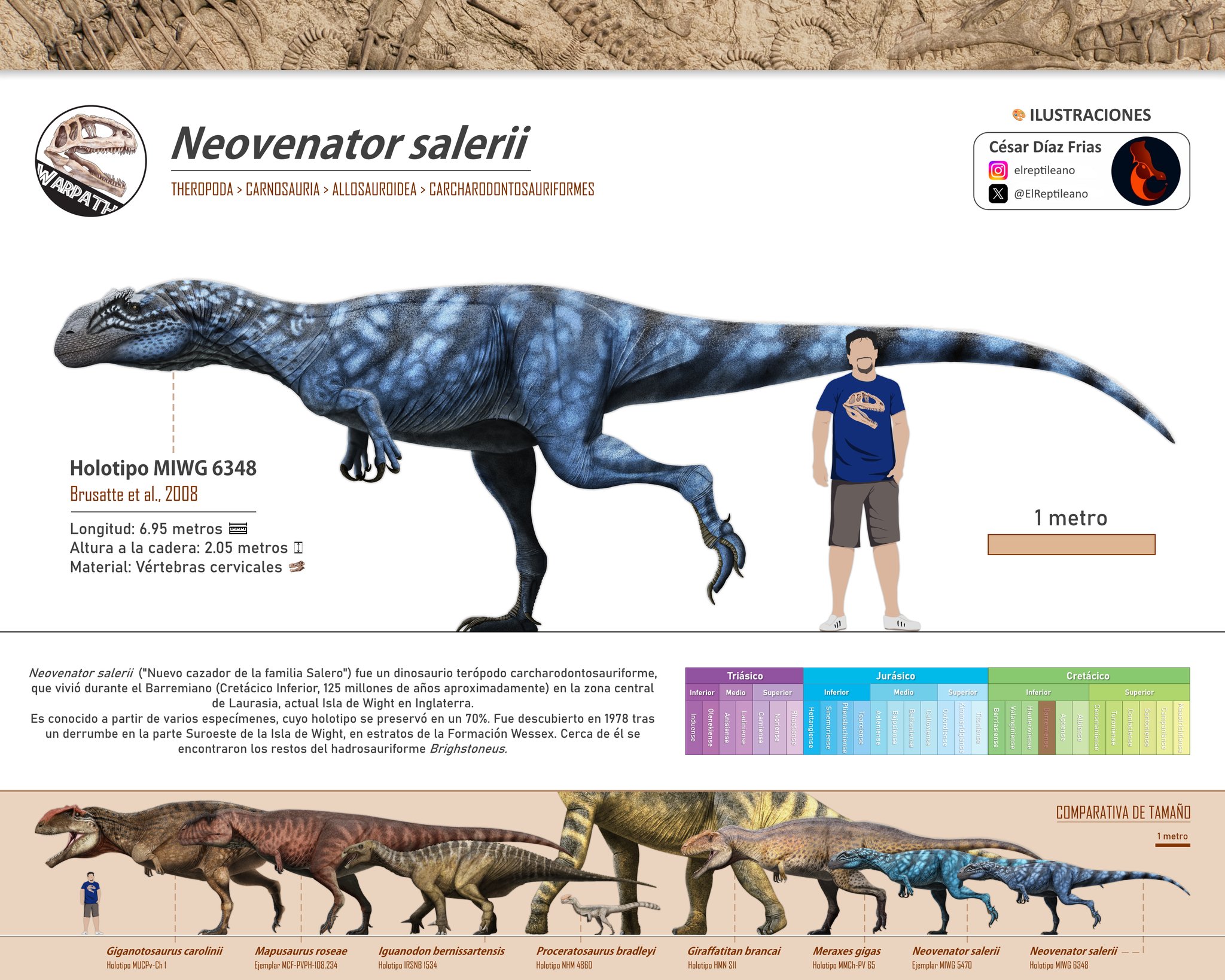 Abelisaurio Del Tamaño De Un Rey El Rey De Los Dinosaurios? 4