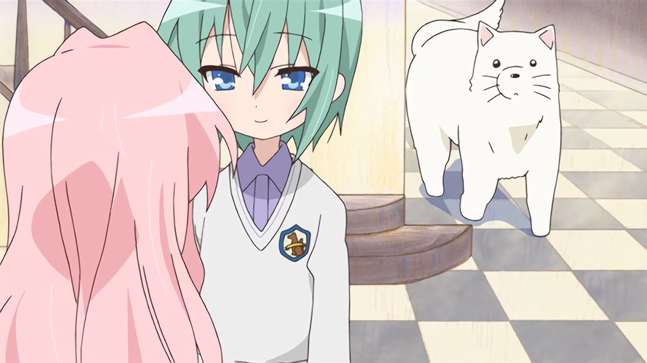 Lucky Star Cat Download Konata Izumi Anime Lucky Star HD Wallpaper