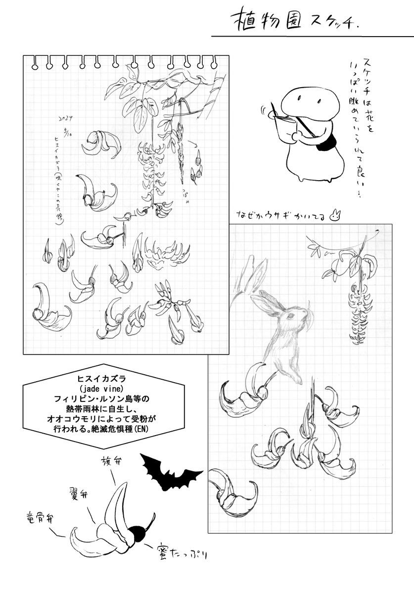 「ヒスイカズラを見に行く(1/2) 」赤夏/関コミL19/comitiaて32bの漫画