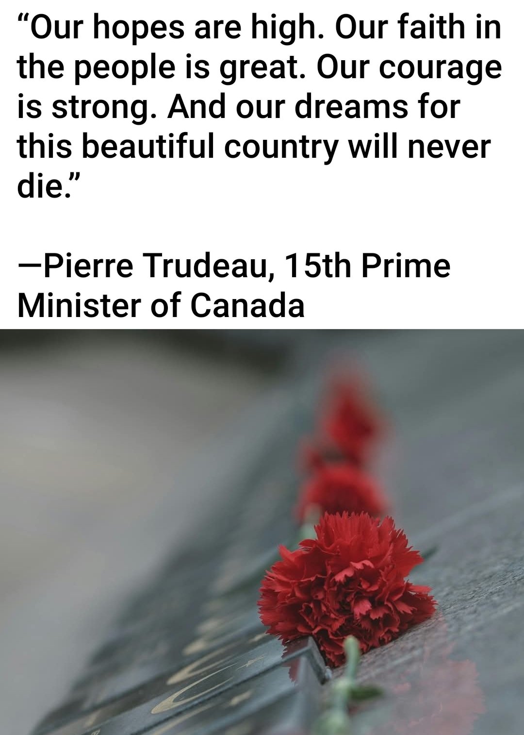 Canadian North Quotes