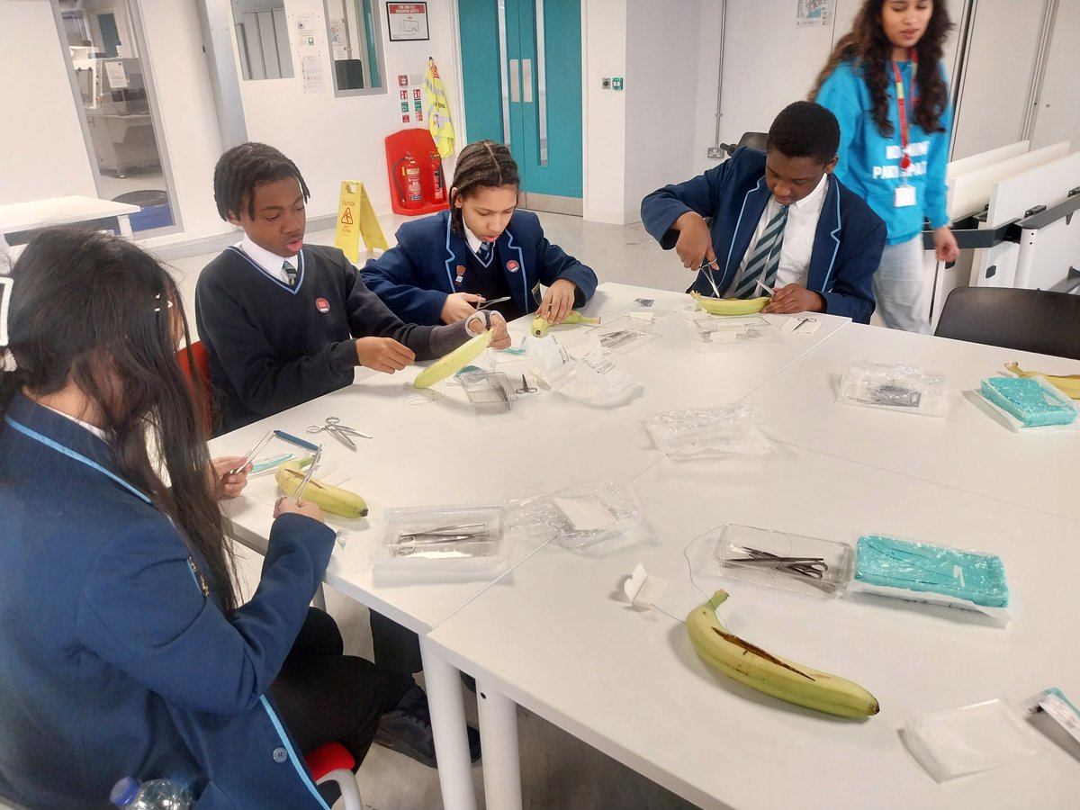 Welcome to Harris Academy Peckham