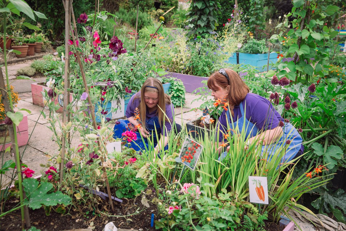 The Wolfson Foundation