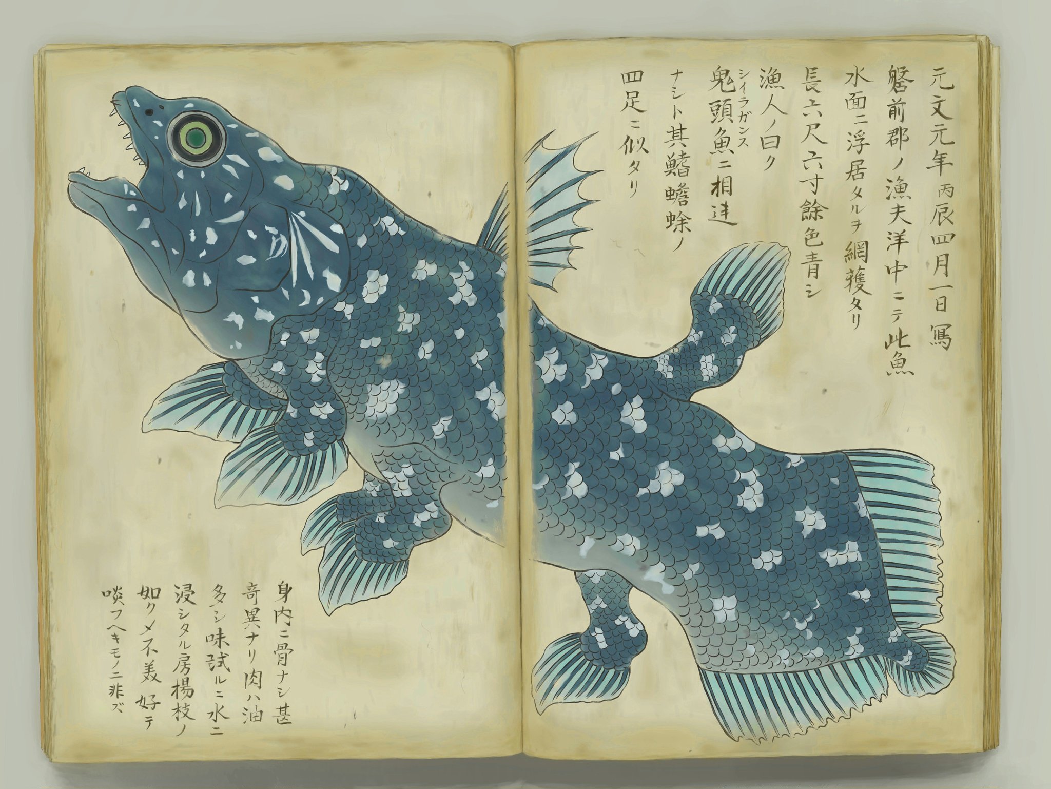 ゆるふわ生物学🧬 書籍『ナゾとき進化論』発売中 on X: ゆるふわ生物学🧬 書籍『ナゾとき進化論』発売中 on X: