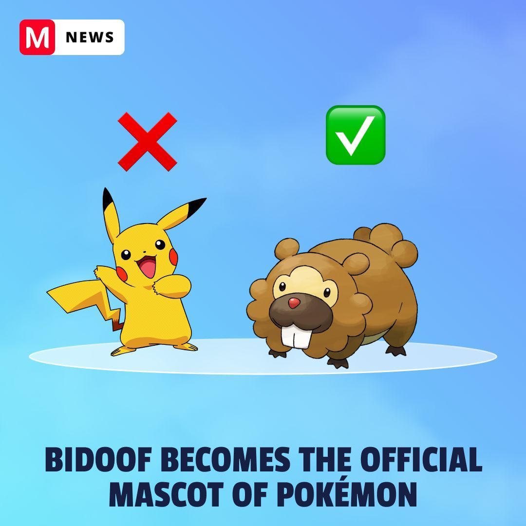 Bidoof Funny