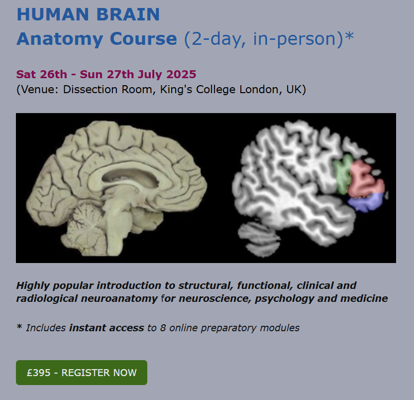 Brain Anatomy Course NESCA Goes To Brain Camp – Exploring The