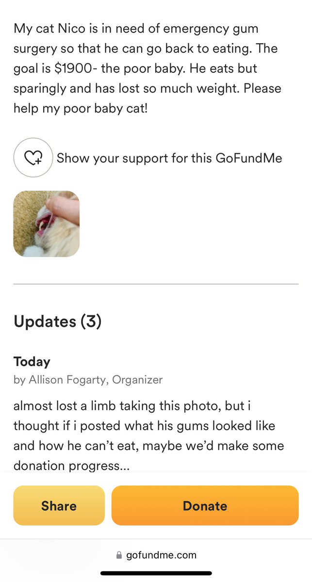 Allison Intervention Quotes