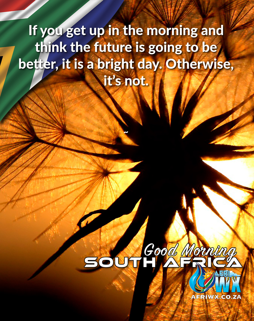 Good Morning Rastafari Quotes The Power Of A Positive Morning Thought