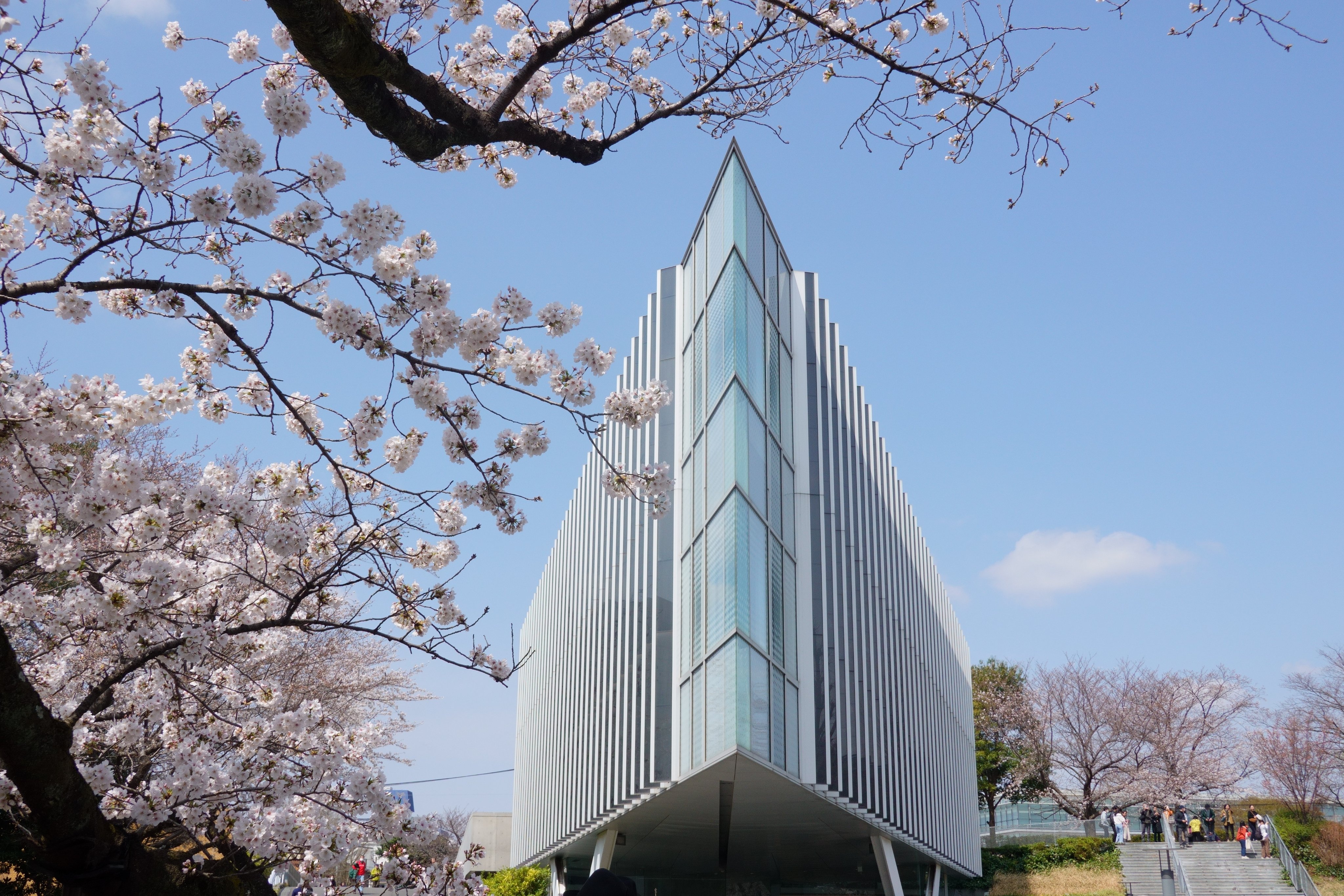 Tokyo Institute Of Technology Logo Tokyo Institute Of Technology