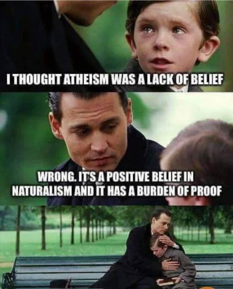 Naturalism Meme Surprised Koala Latest Memes Imgflip