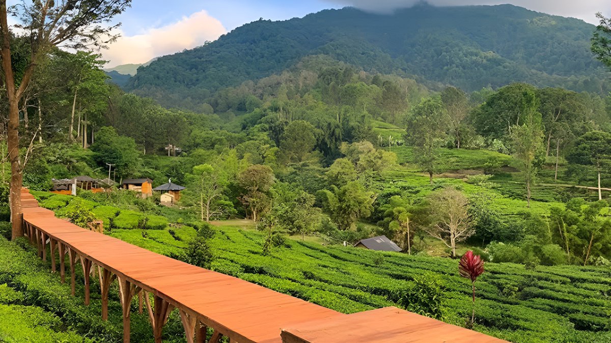 4 Tempat Wisata di Puncak Bogor yang Buka Selama Libur Lebaran