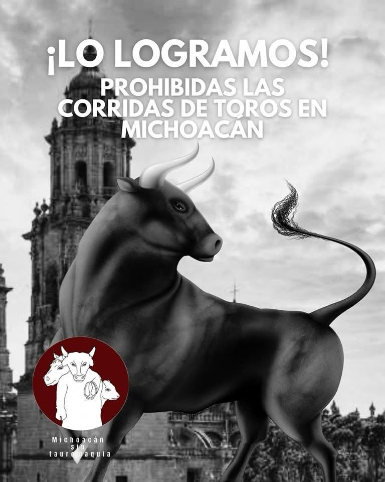 Los Toros Memes