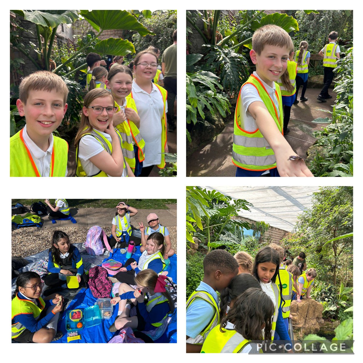 Welcome - Eastfield Primary School