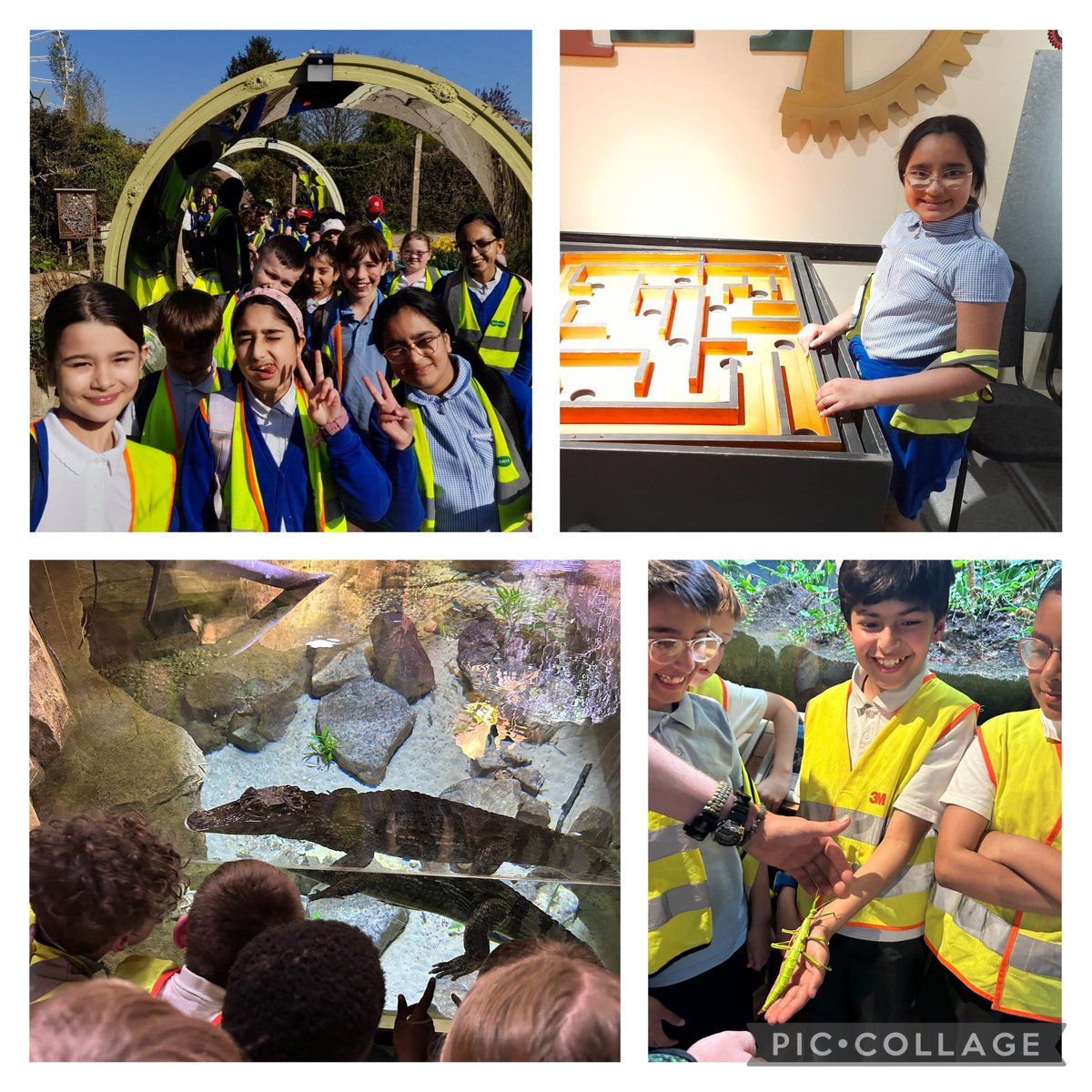 Welcome - Eastfield Primary School