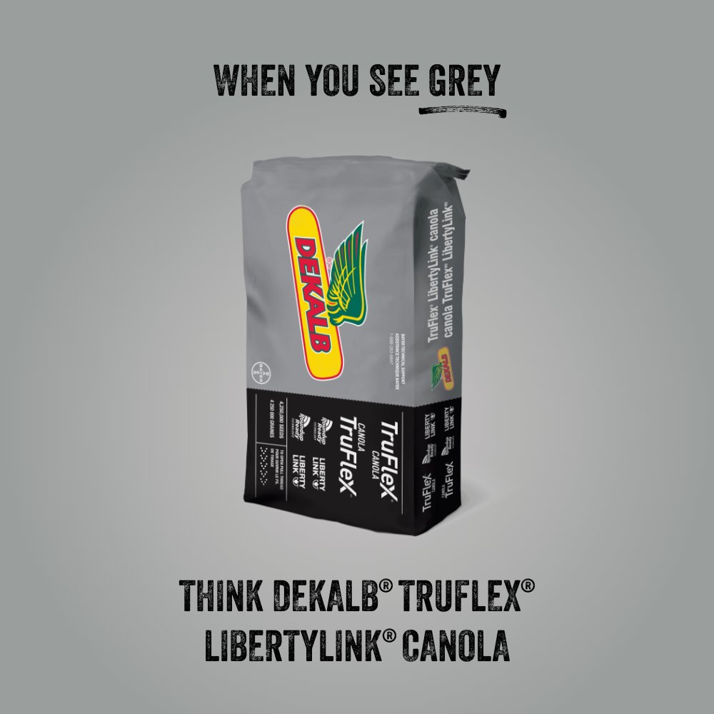 Liberty Link Logo