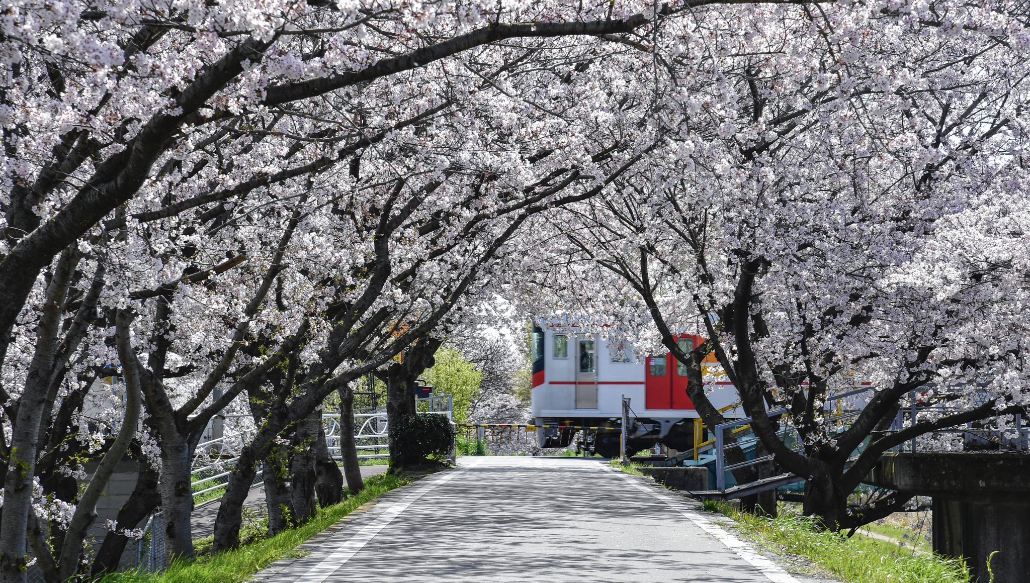 山陽電車【公式】 on X: 山陽電車【公式】 on X: