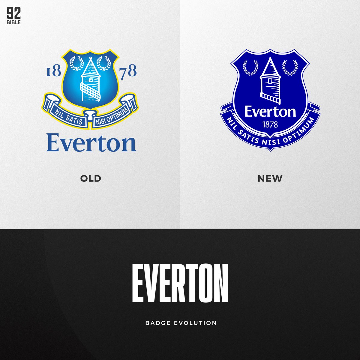 Everton Logo Everton FC Official Football Crest Giant Flag With Brass