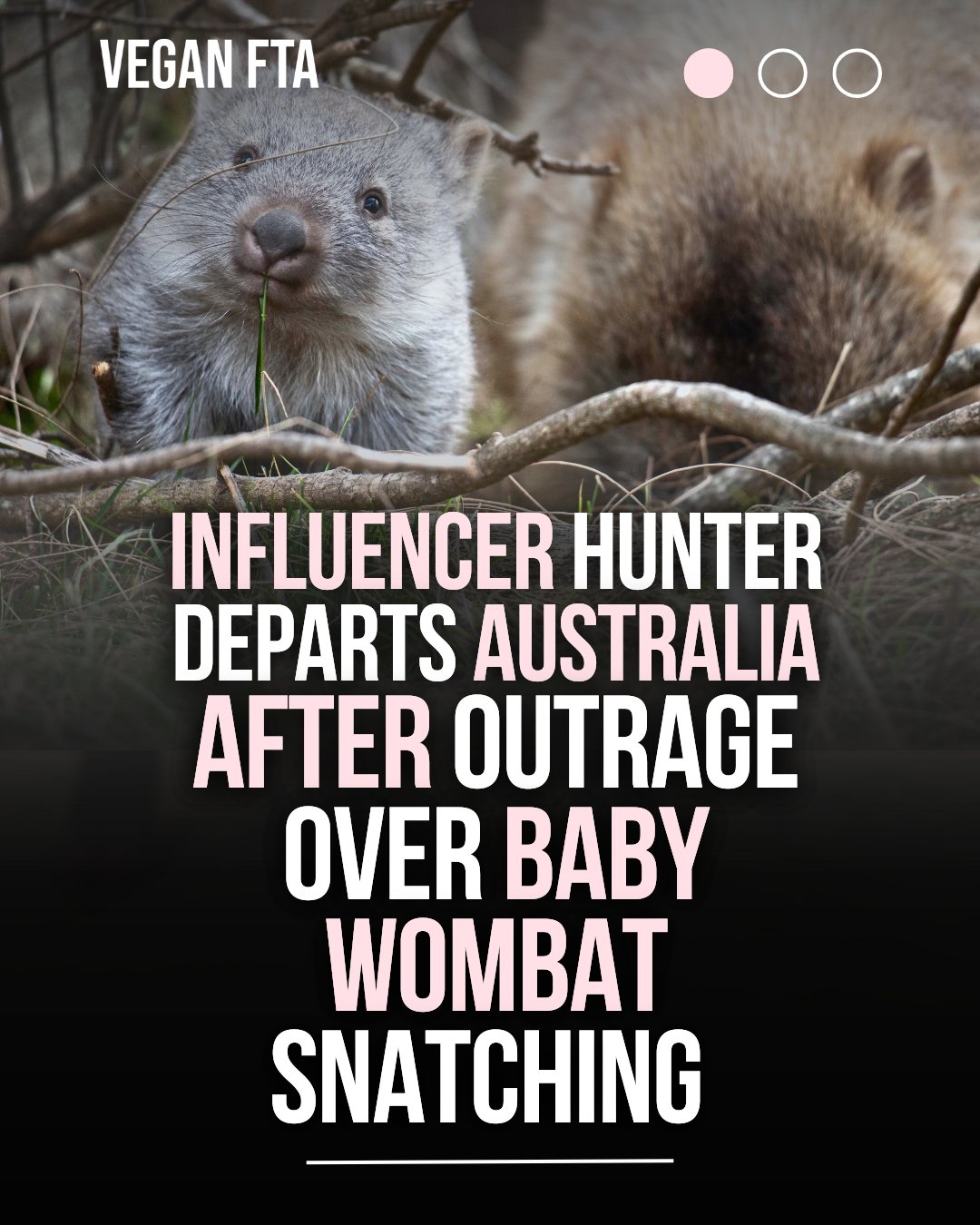 Vegetarian Hunting Memes