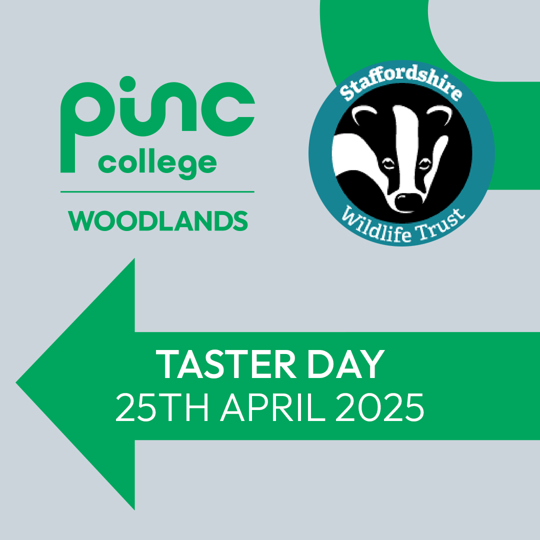 Pinc Logo Pink Logo Images Free Download On Freepik