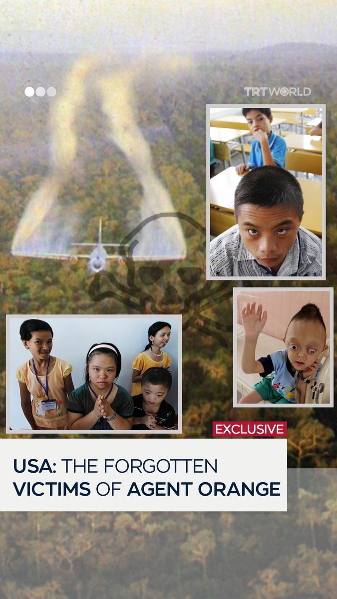 Ronin the Rat Sets World Record by Sniffing Out 109 Landmines and 15 ...