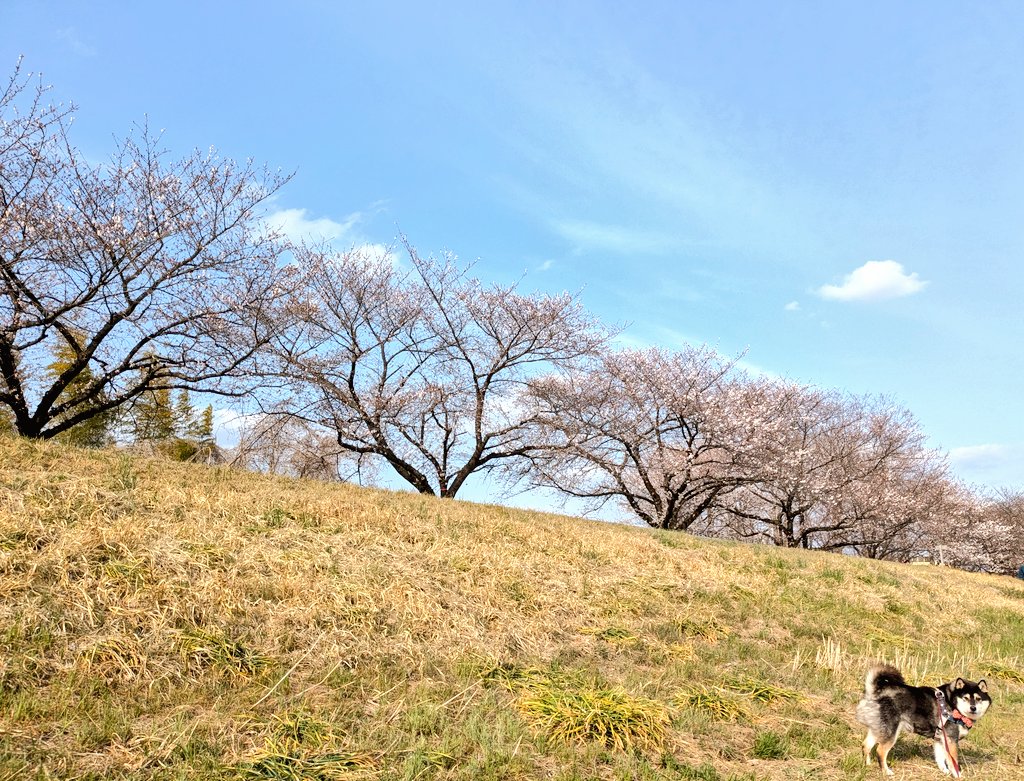 きんにく画伯(@Geda_2) - Twilog (ツイログ)