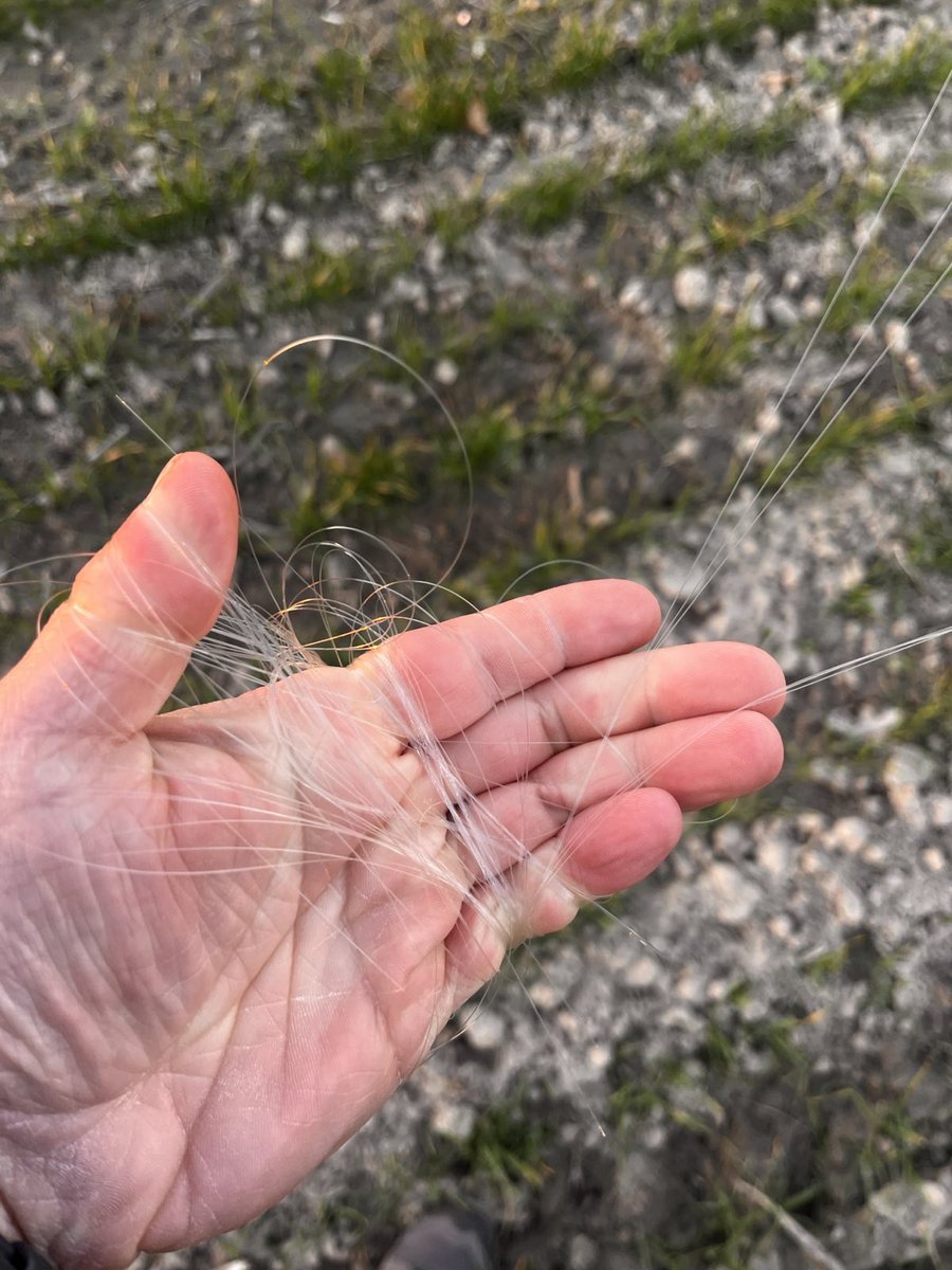 Thread By @TrentTelenko - Ukraine has developed new methods...