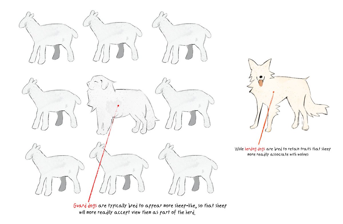 Wolf Walk Cycle Frames