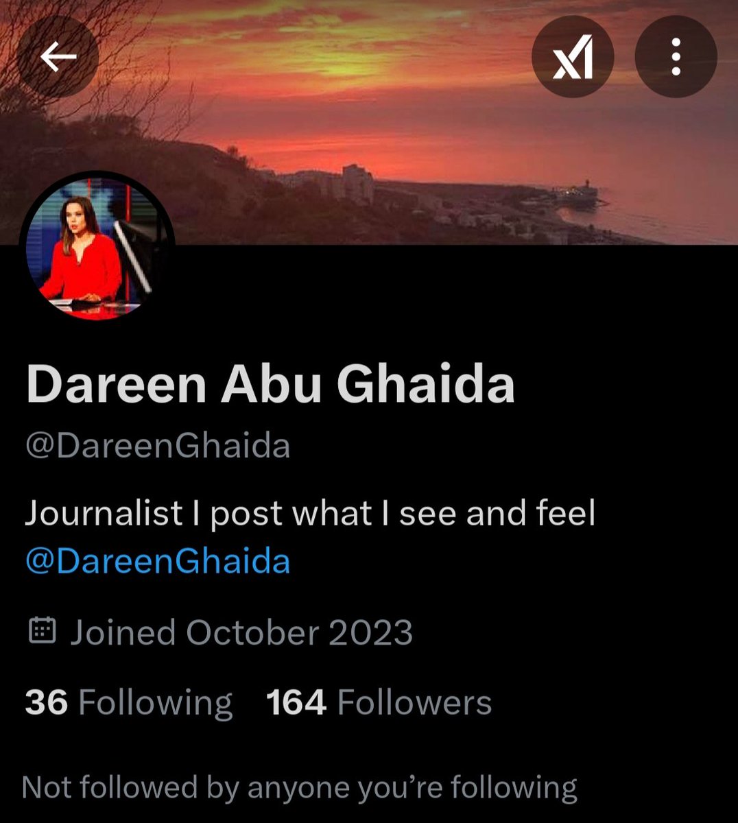 Dareen Abughaida Dareen AbuGhaida YouTube