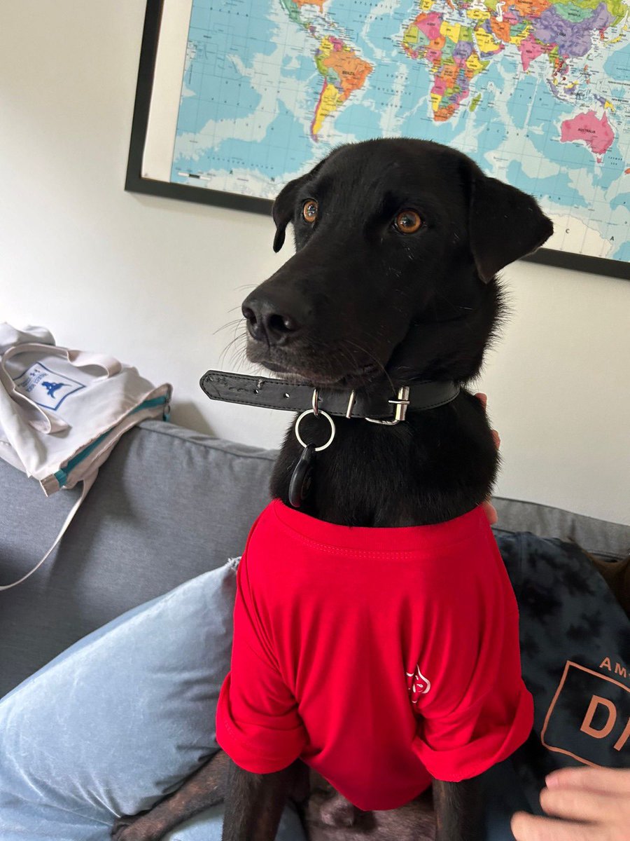 Niall Harbison's Threads – Thread Reader App