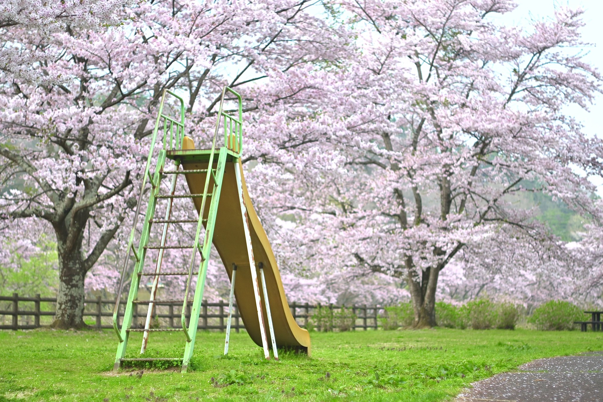 きりゅー。 on X: きりゅー。 on X: