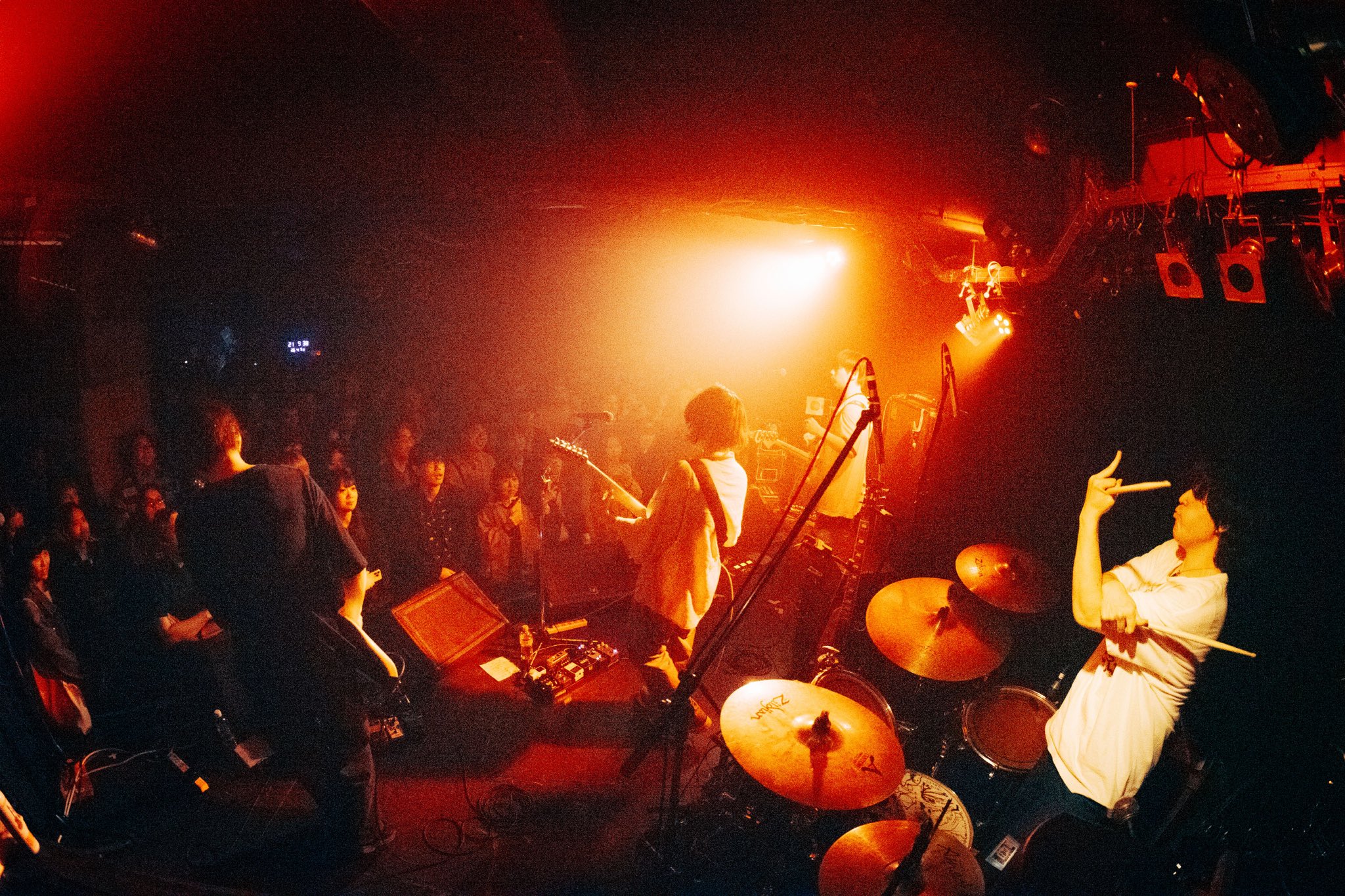 Hammer Head Shark (@h_h_s_band) / X Hammer Head Shark (@h_h_s_band) / X