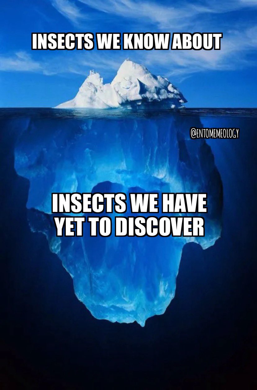 Bugger Memes Okay Bug Helldivers 2 Post Imgur